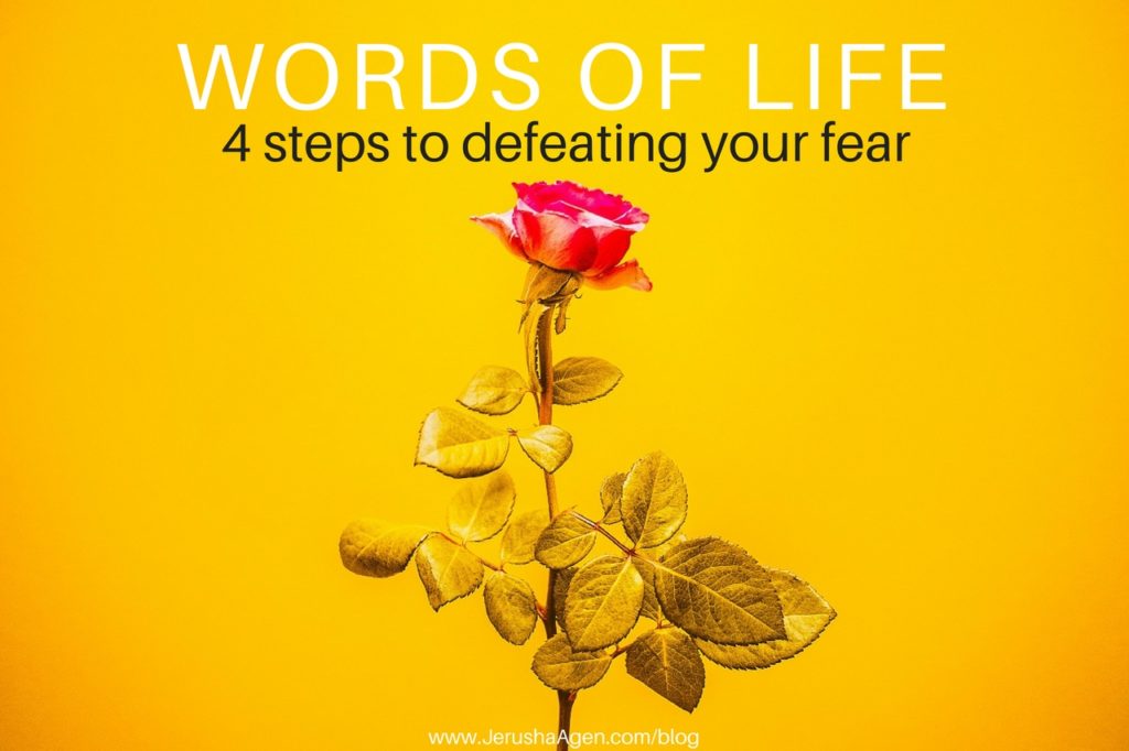 Words of Life: 4 Steps to Defeating Your Fear - Jerusha Agen