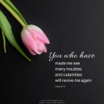 Revive Me: When What You Fear Happens - Jerusha Agen
